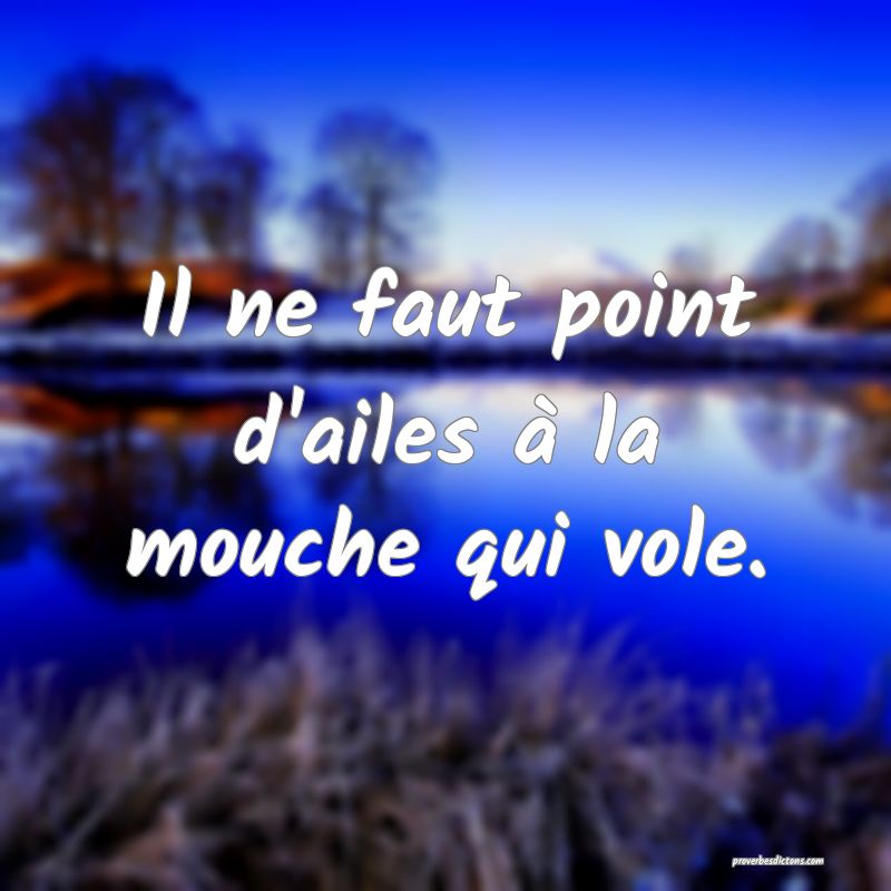 La mouche vole et vole, mais elle ne deviendra jam...