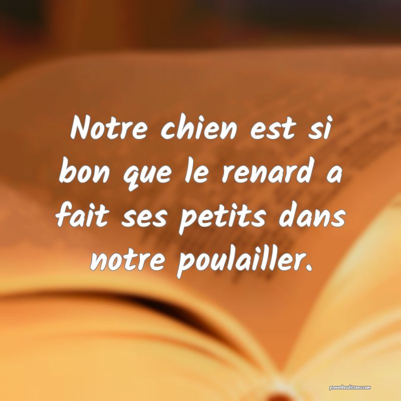 Notre chien est si bon que le renard a fait ses pe...