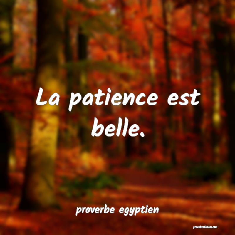La patience est la clé du succès....