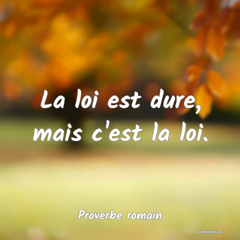 Proverbe Romain
