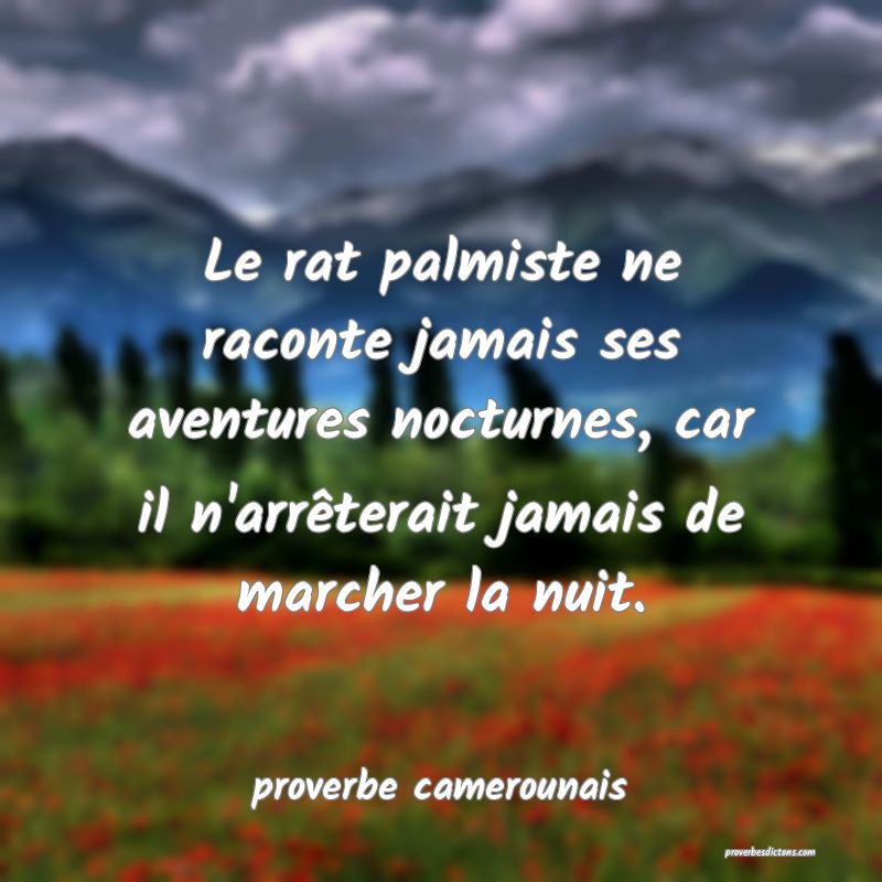 Le rat palmiste ne raconte jamais ses aventures no...