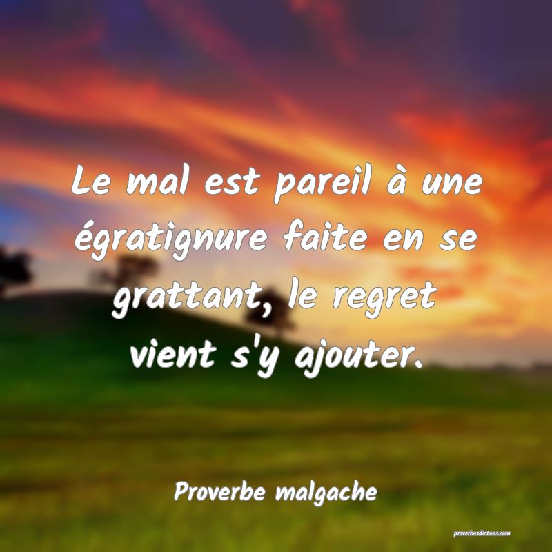 Proverbe De Regret