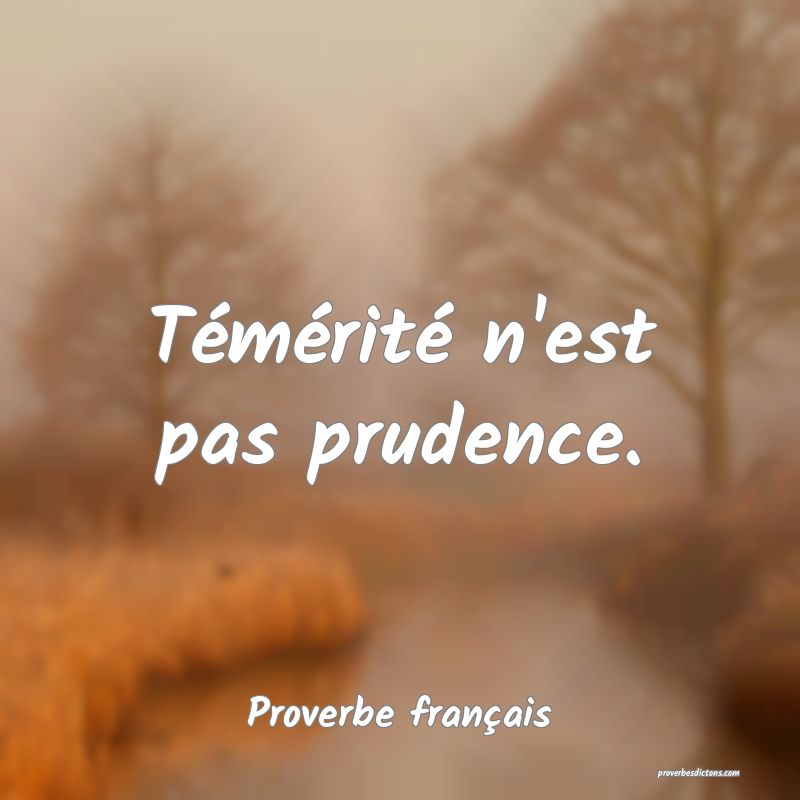 La témérité est une source de malheurs....