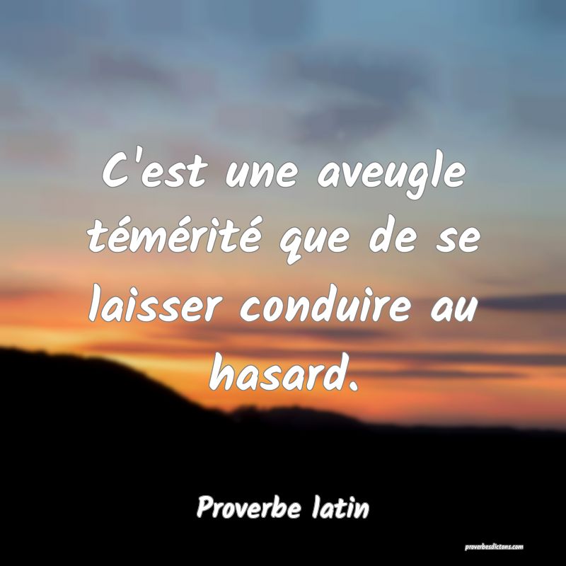 La témérité est une source de malheurs....