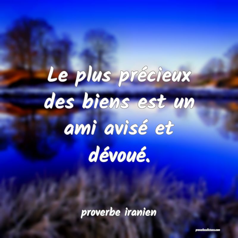 Proverbes Amitie