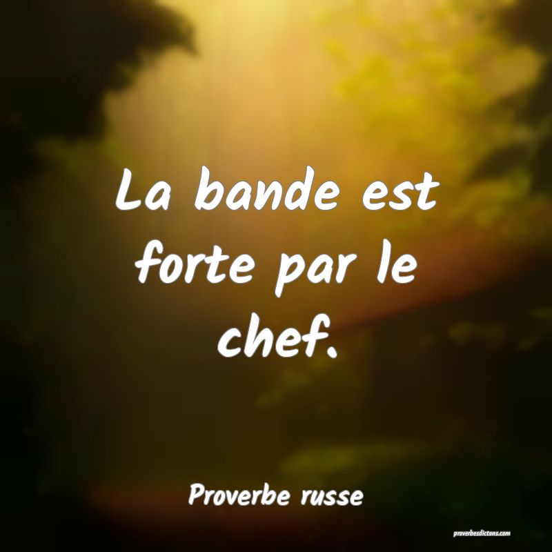 On a plus besoin d'un chef qui agisse que d'un che...