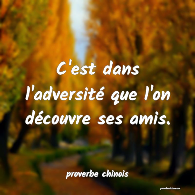 C'est dans l'adversité que l'on découvre ses ami...