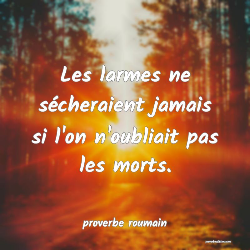 Les larmes ne sécheraient jamais si l'on n'oublia...