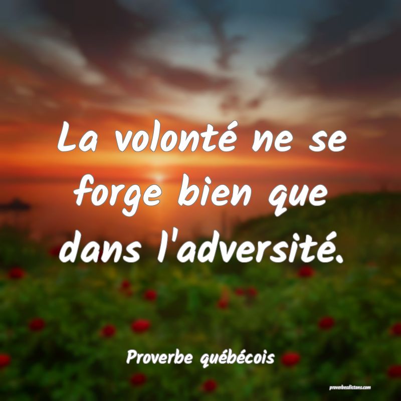 La volonté ne se forge bien que dans l'adversité...
