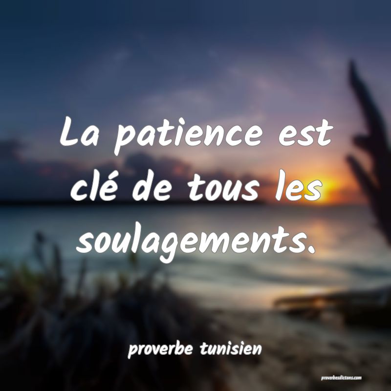 La patience est clé de tous les soulagements....