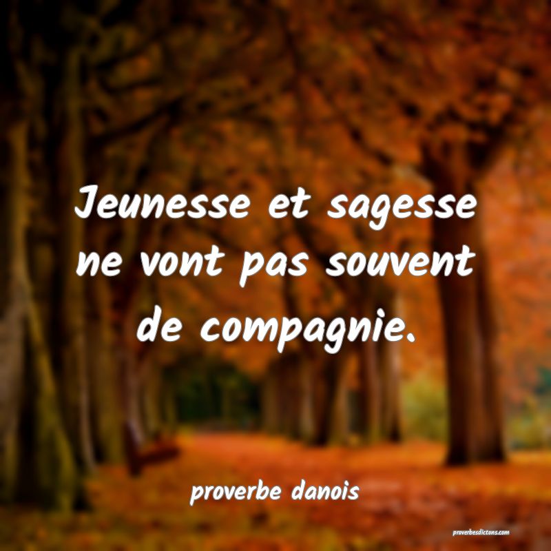 Proverbe De Sagesse
