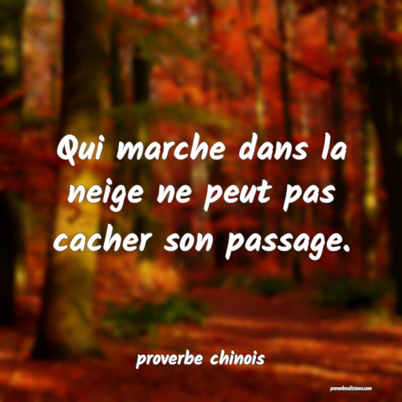 Proverbe Chinois
