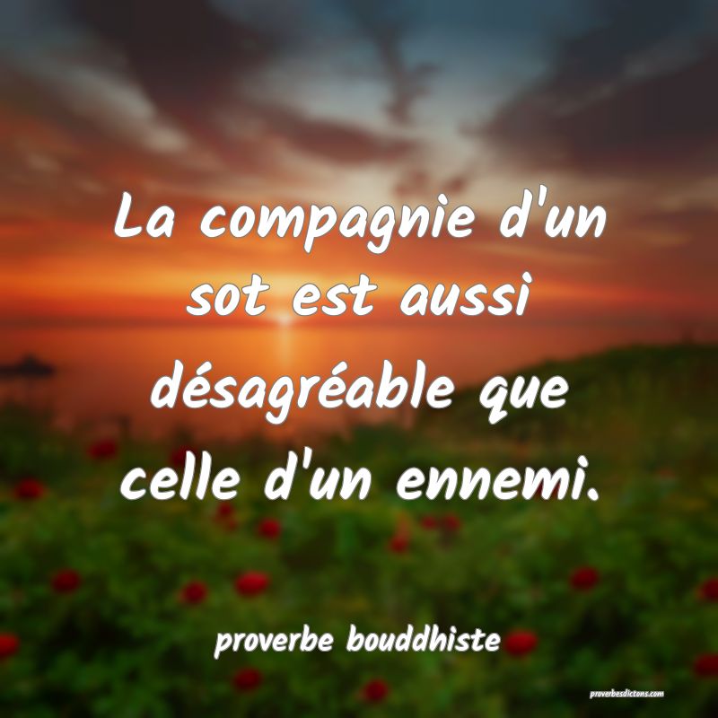 La compagnie d'un sot est aussi désagréable que ...
