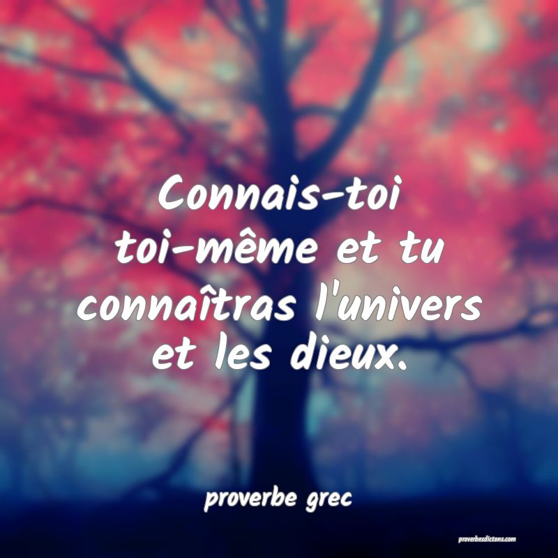 Connais-toi toi-même et tu connaîtras l'univers ...