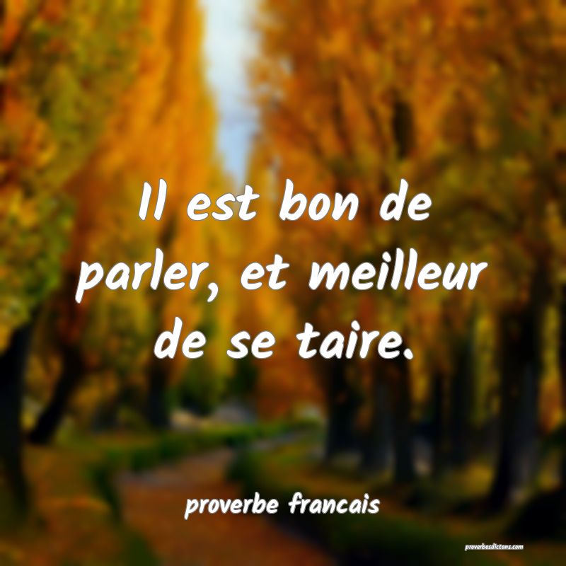 Il est bon de parler, et meilleur de se taire....