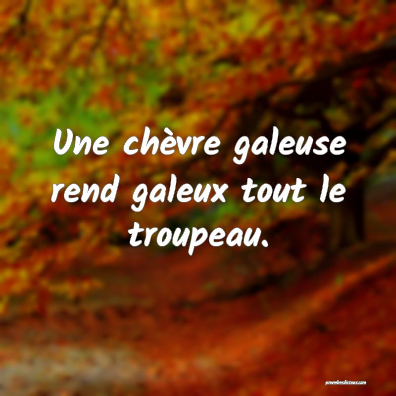 Il ne faut qu'une brebis galeuse pour gâter un tr...